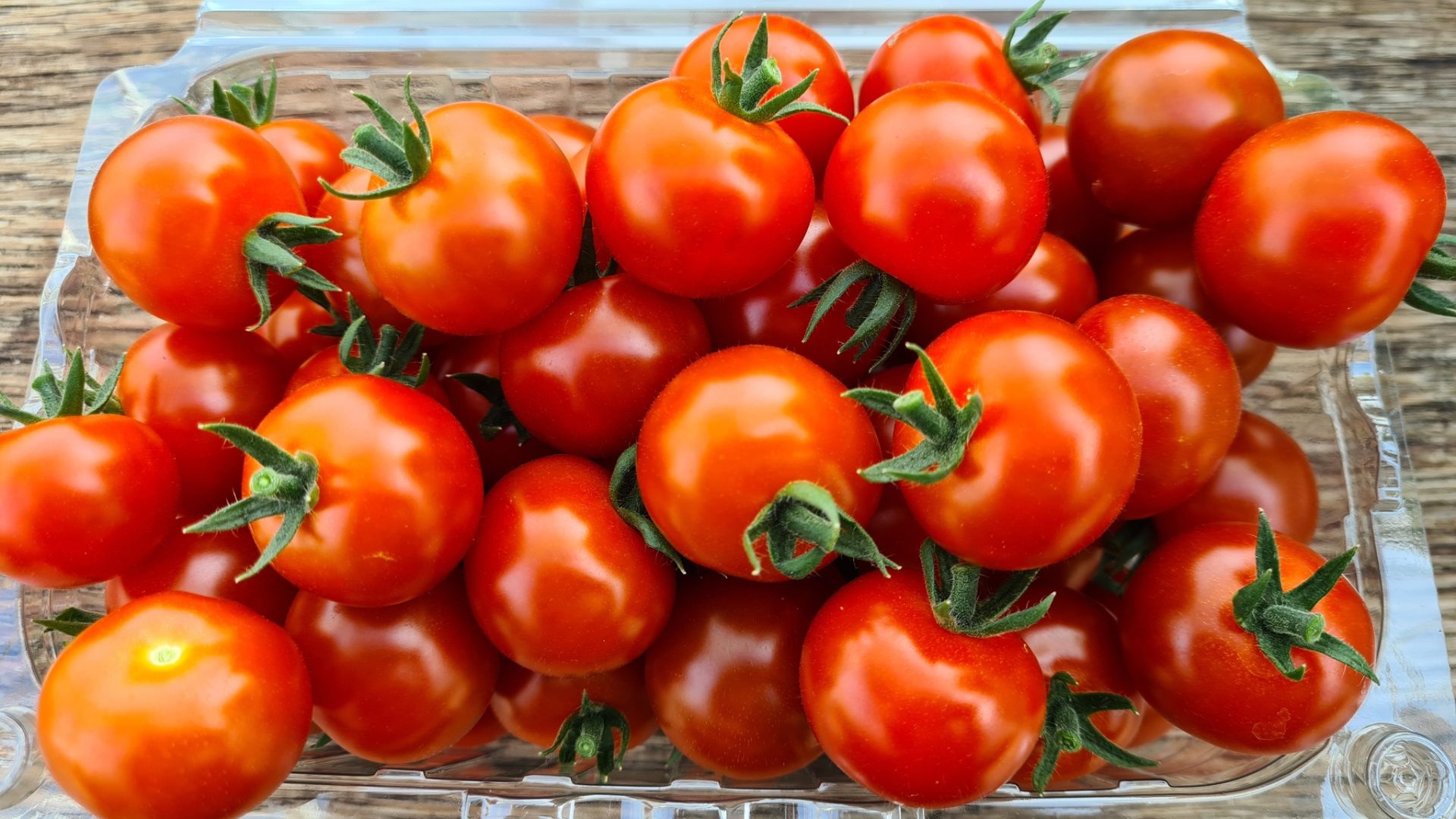 USAMV Cluj: Primele roșii cherry din 2023, produse la Sera Legumicolă a ...